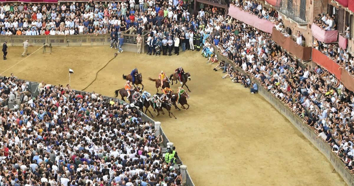Palio di Siena, i sogni dei dieci popoli - Corriere di Siena